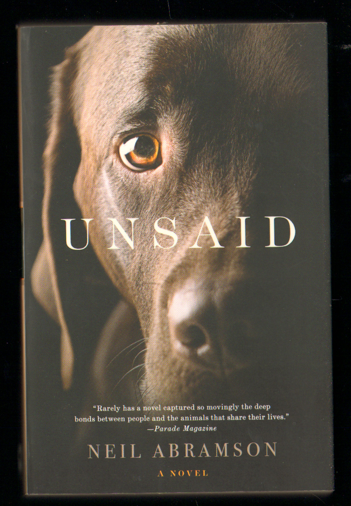 Zephyrus Books IOBA - Adirondack Bookstore - New Used Collectible